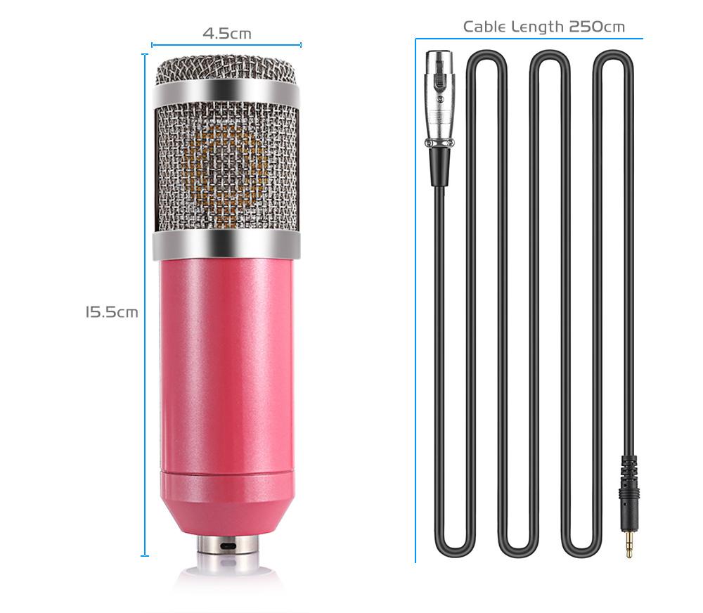 Mini Condenser Microphone BM800 For Recording Broadcasting – HalloBest