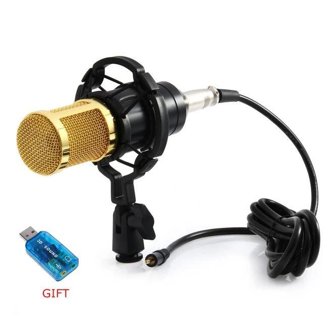 Mini Condenser Microphone BM800 For Recording Broadcasting – HalloBest