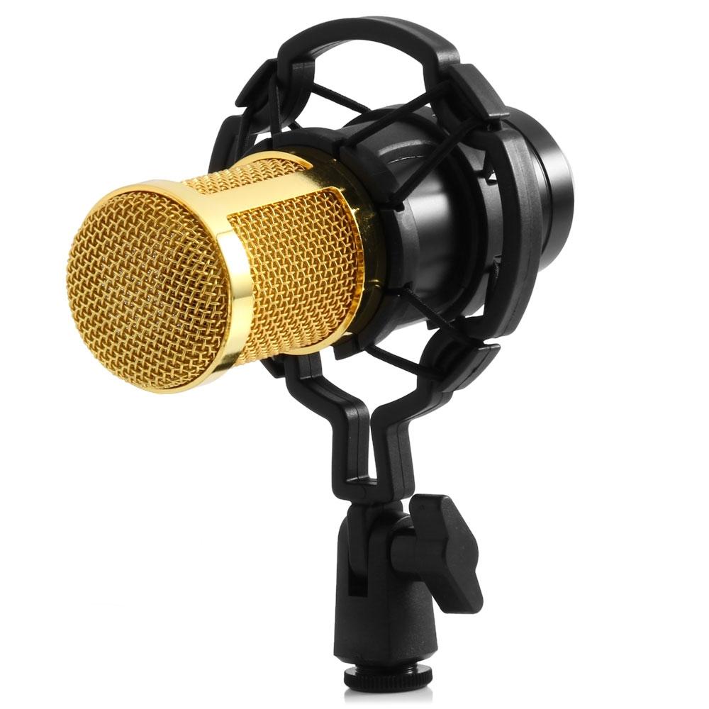 Mini Condenser Microphone BM800 For Recording Broadcasting – HalloBest